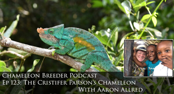 123: The Cristifer Parson's Chameleon with Aaron Allred - Chameleon Academy